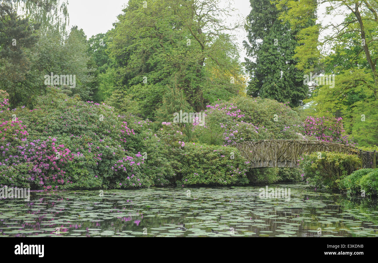 Tatton park gardens hi-res stock photography and images - Alamy