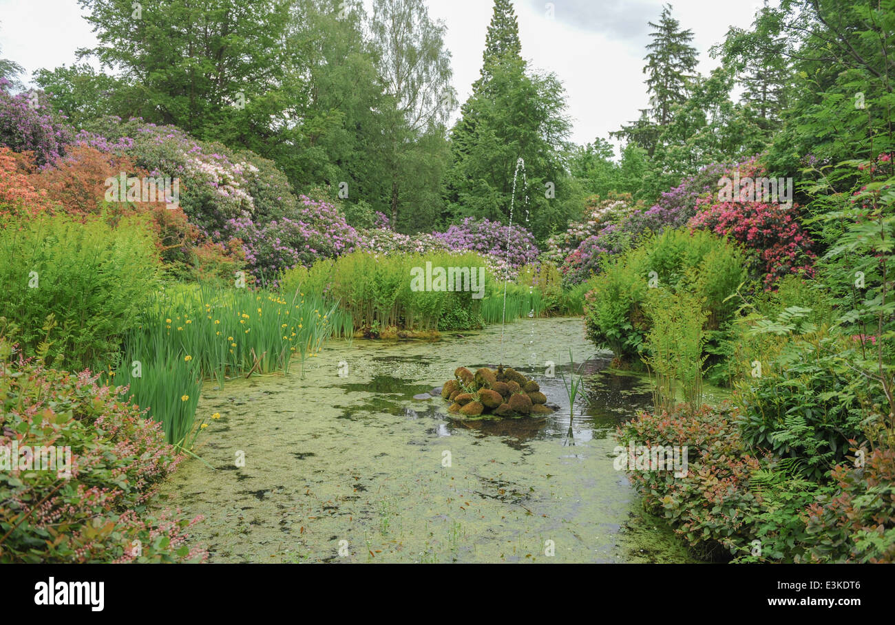 Tatton park gardens hi-res stock photography and images - Alamy