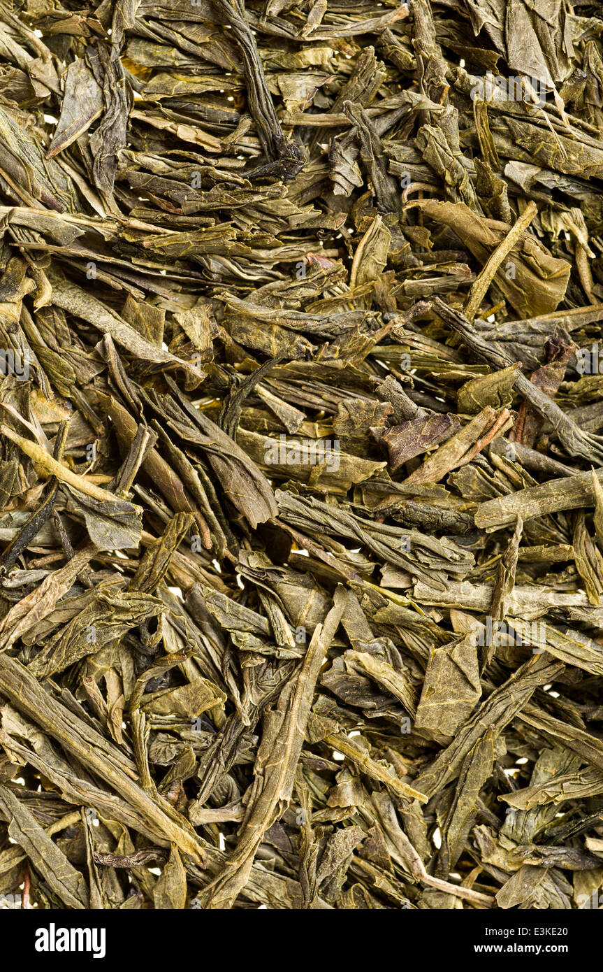 Heap of dry chinese green tea - background texture. Macro shot Stock ...