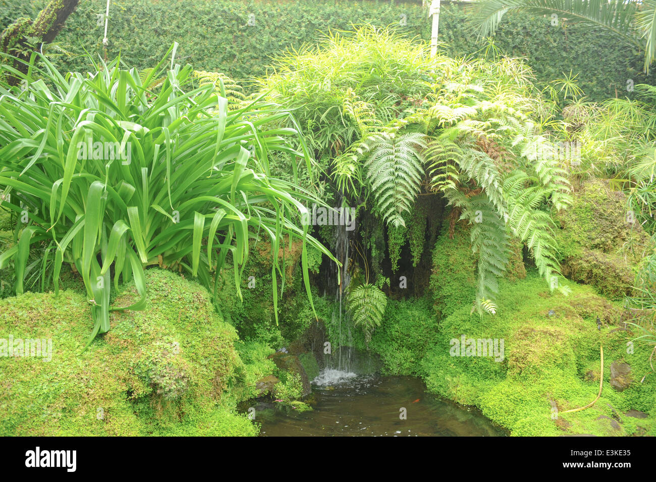 Tatton park gardens hi-res stock photography and images - Alamy