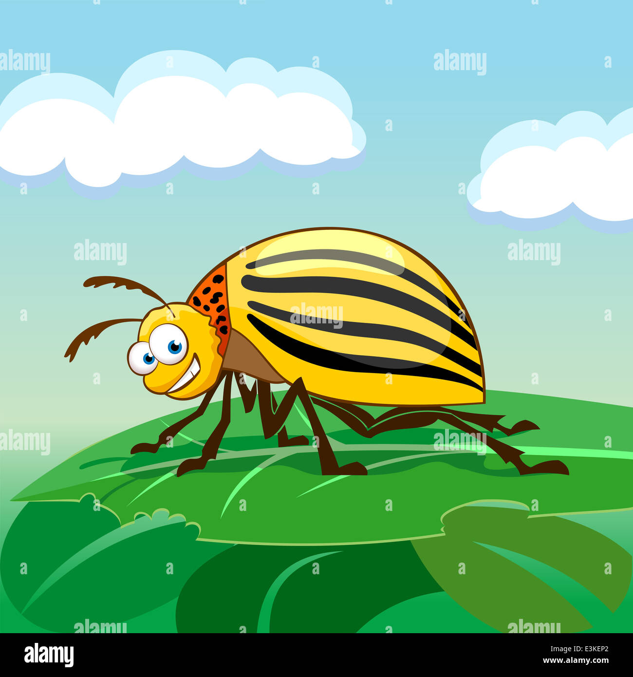 Cartoon beetle hi-res stock photography and images - Alamy