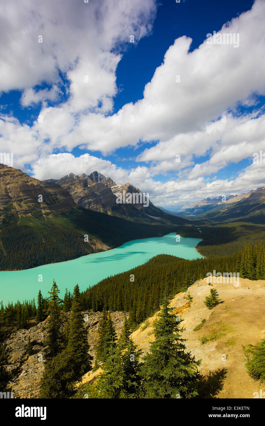 Peyto Lake & Caldron Peak, Banff National Park, Alberta, Canada Stock ...