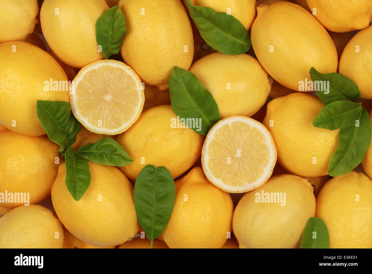 Citron leaves hi-res stock photography and images - Alamy