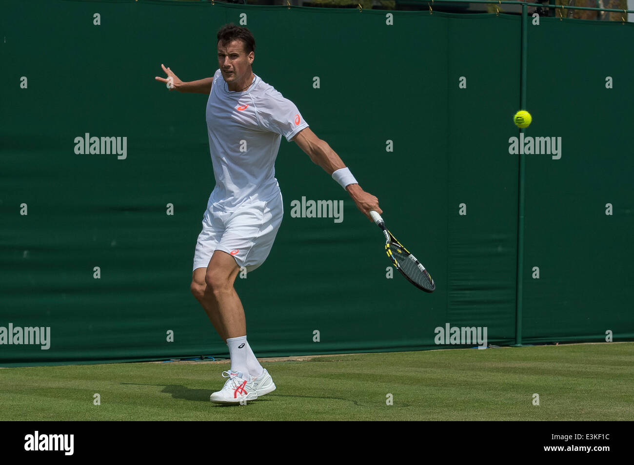 Kei nishikori in wimbledon hi-res stock photography and images - Alamy