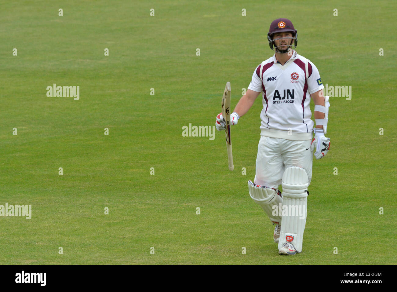 Cricket batsman batter dismissal hi-res stock photography and images ...