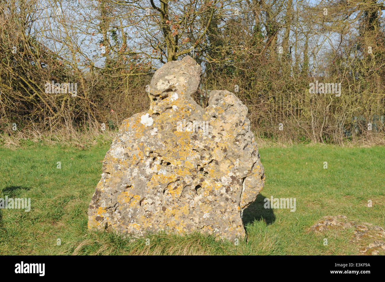 The Historic and Ancient Limestone Rollright Stones near to the English ...
