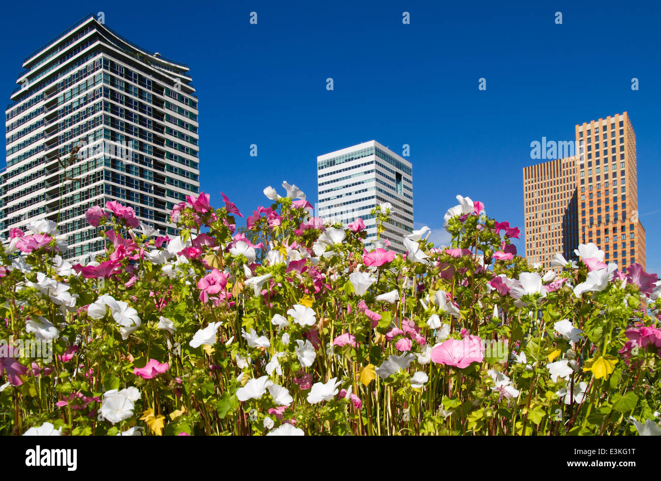 Zuidas hi-res stock photography and images - Alamy