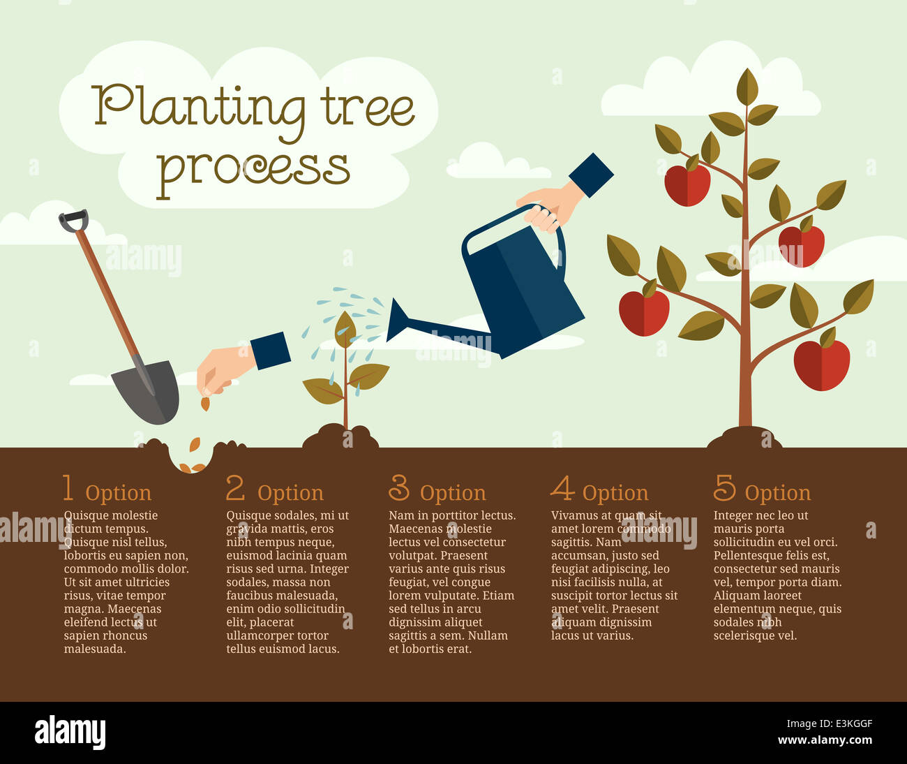 Timeline Infographic of planting tree process, flat design template ...