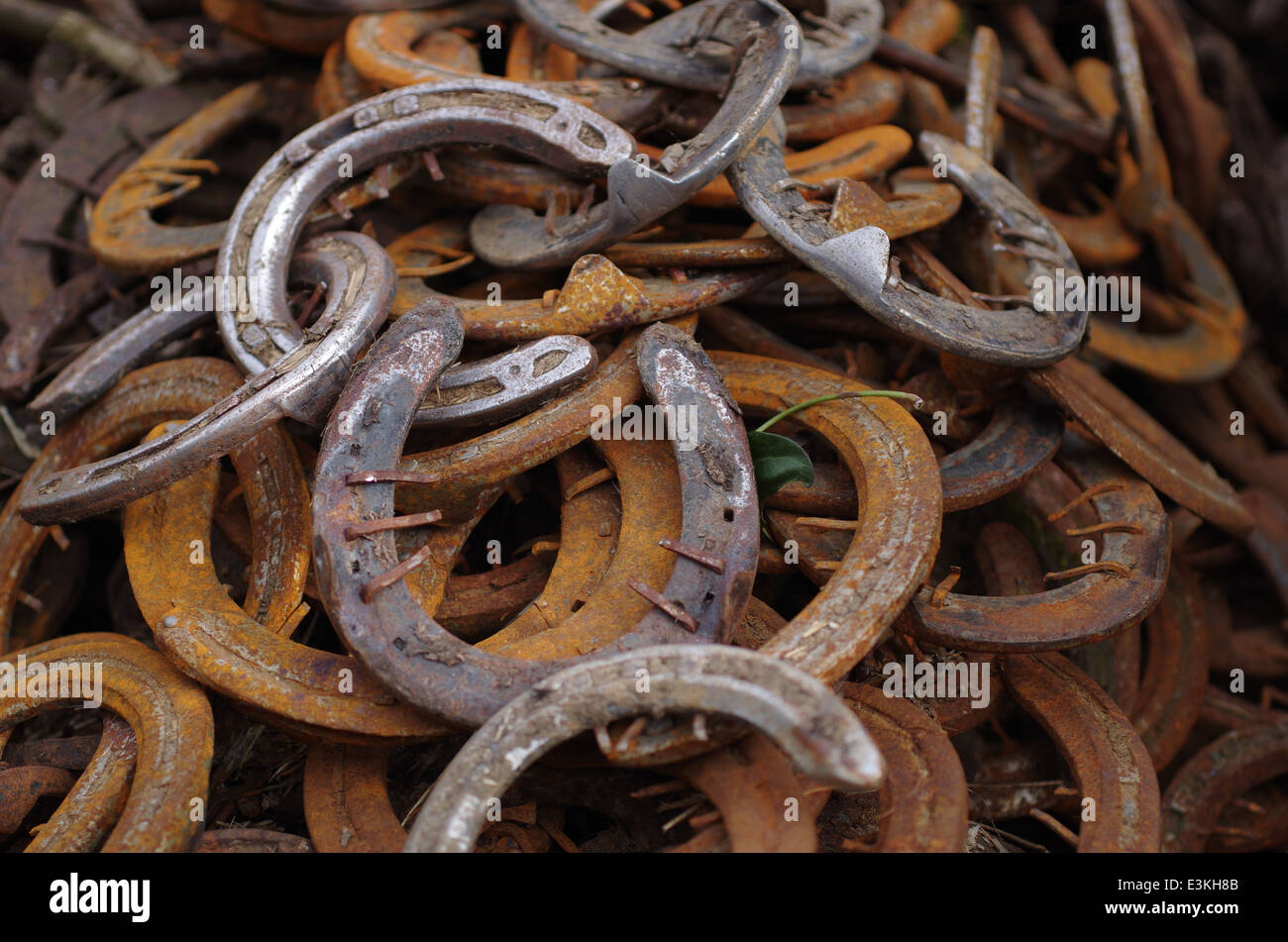 Pile horseshoes hi-res stock photography and images - Alamy