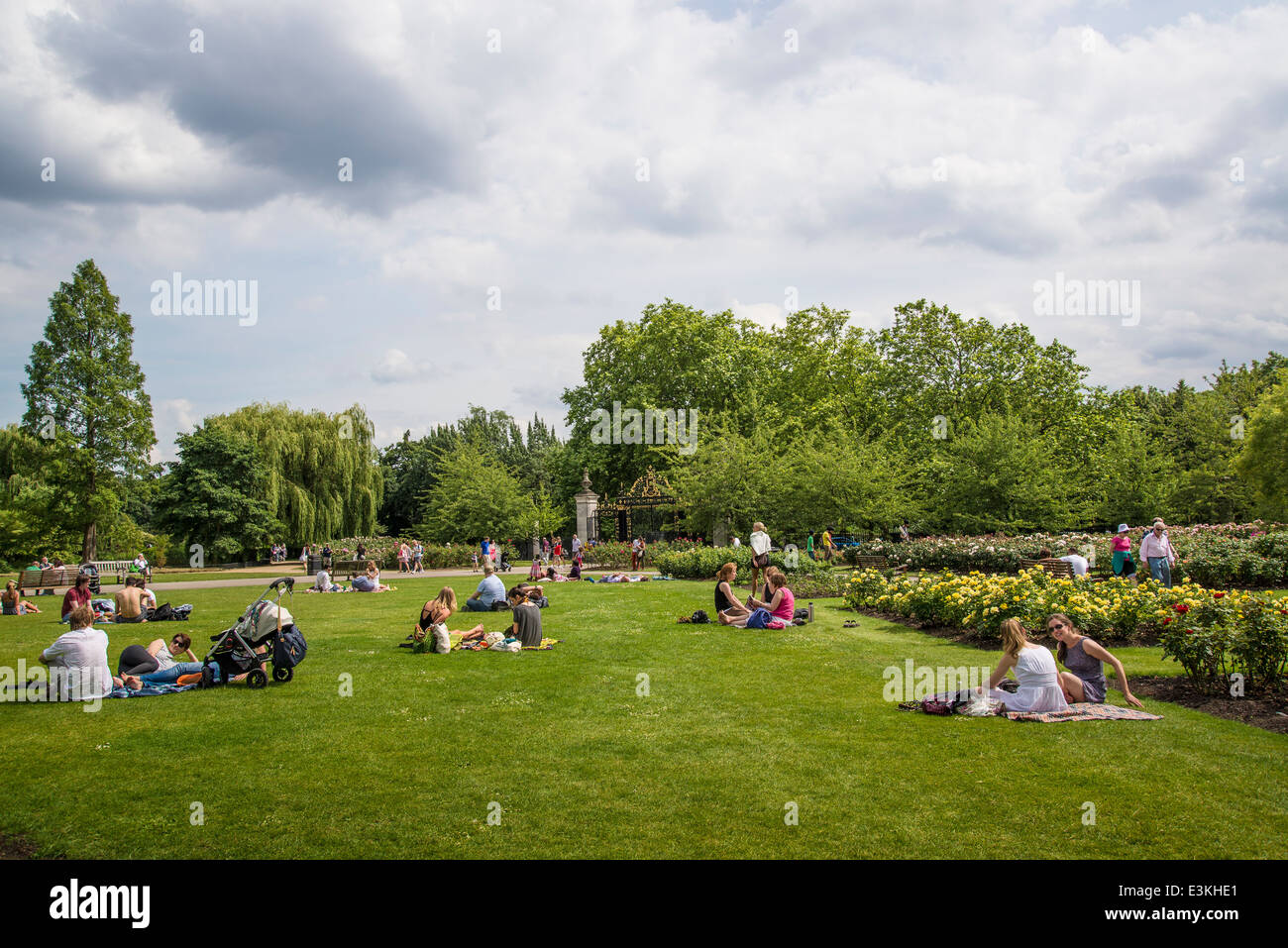 Rose garden regents park hi-res stock photography and images - Alamy