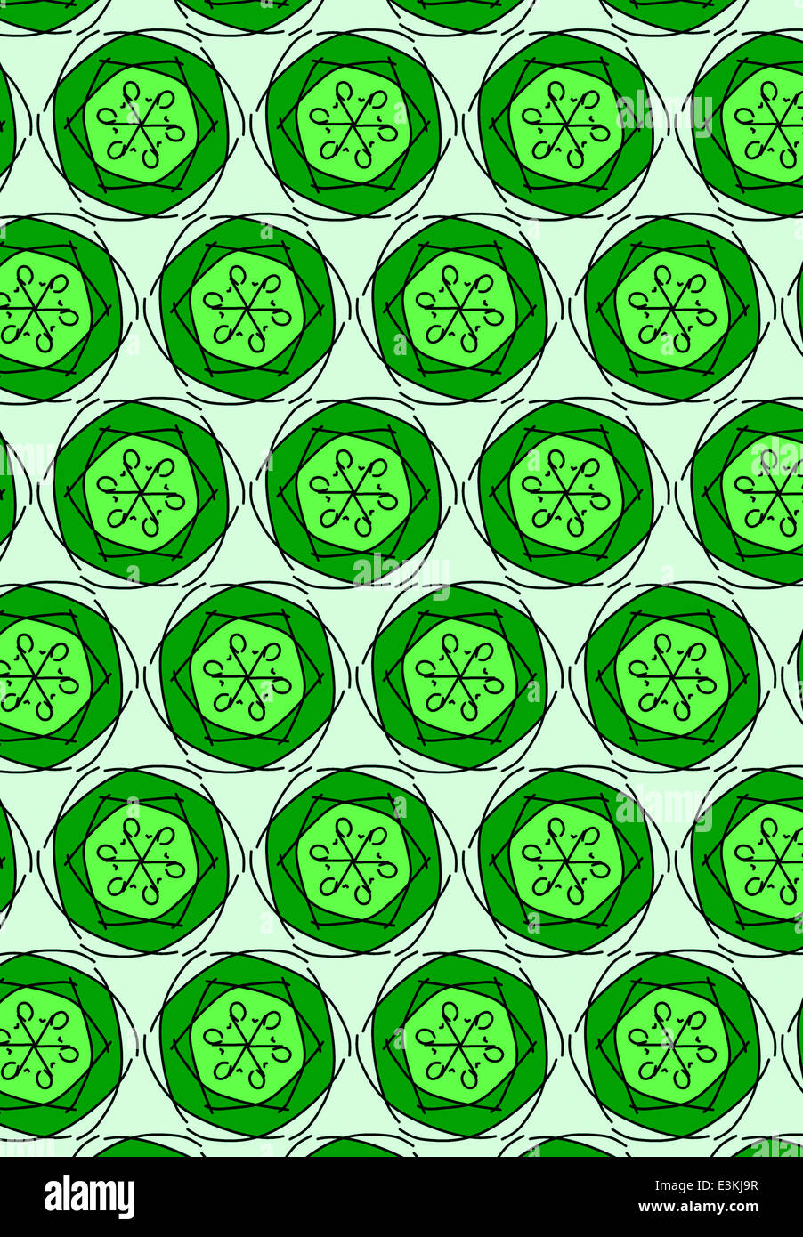 Illustration cross section cucumber hi-res stock photography and images ...