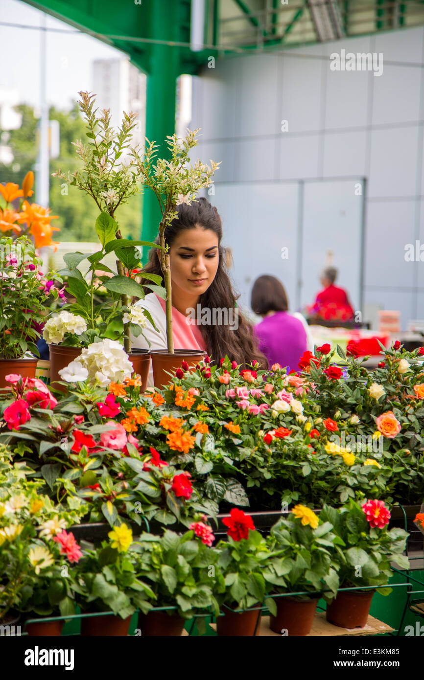 Consumer flowers hi-res stock photography and images - Alamy