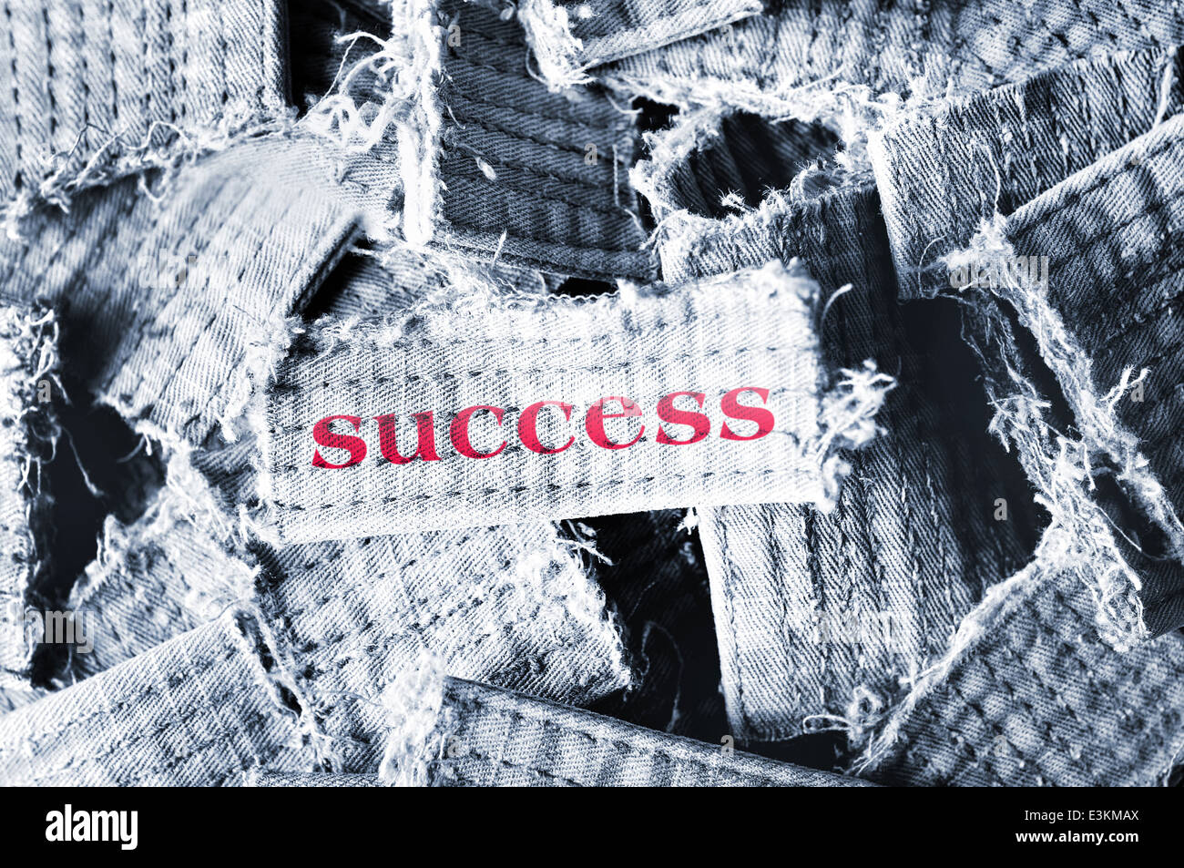 Success word on material pieces Stock Photo - Alamy