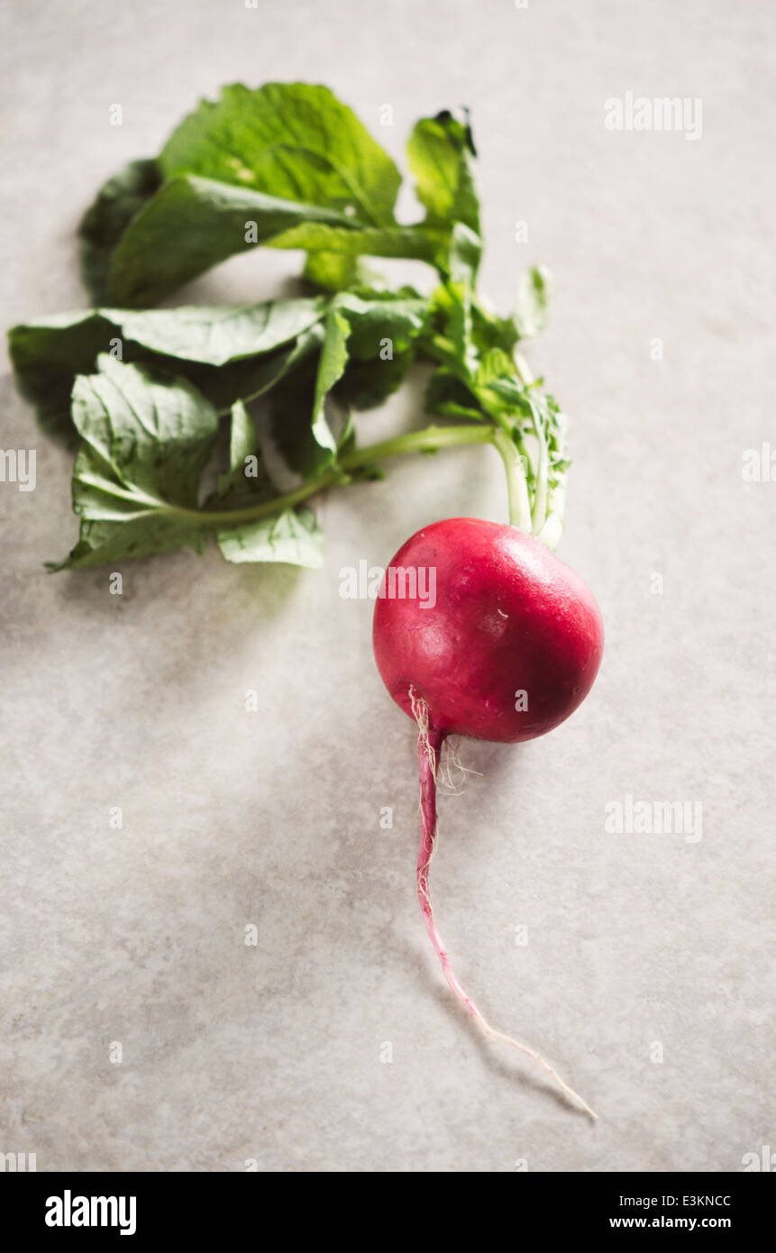 Radishes on White Background Stock Photo - Alamy