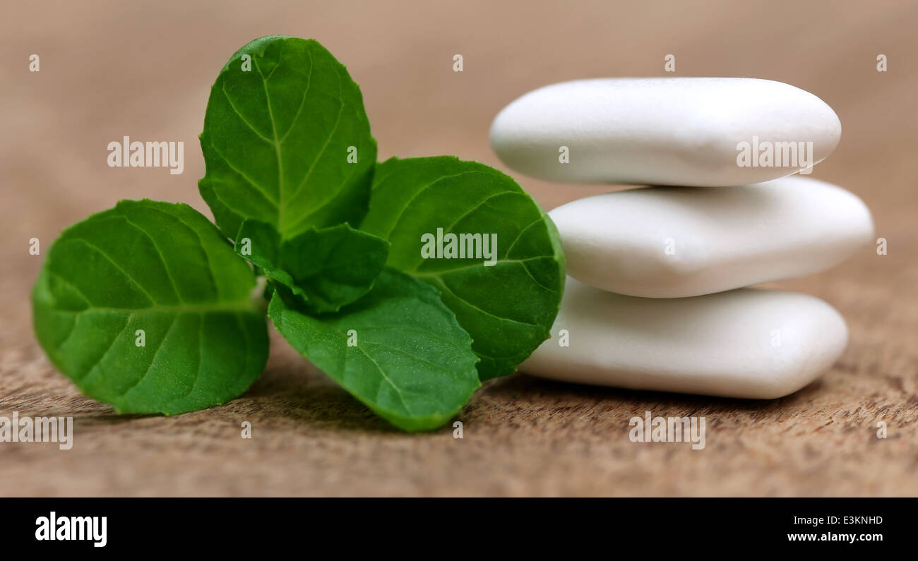 Mint leaf chewing gum hi-res stock photography and images - Alamy