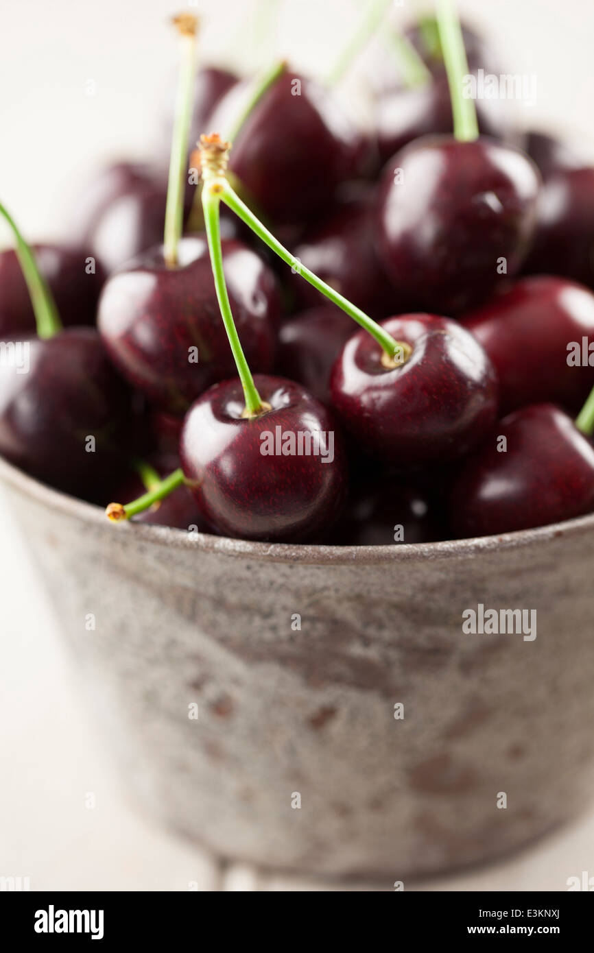 Cherry Sprigs High Resolution Stock Photography and Images - Alamy