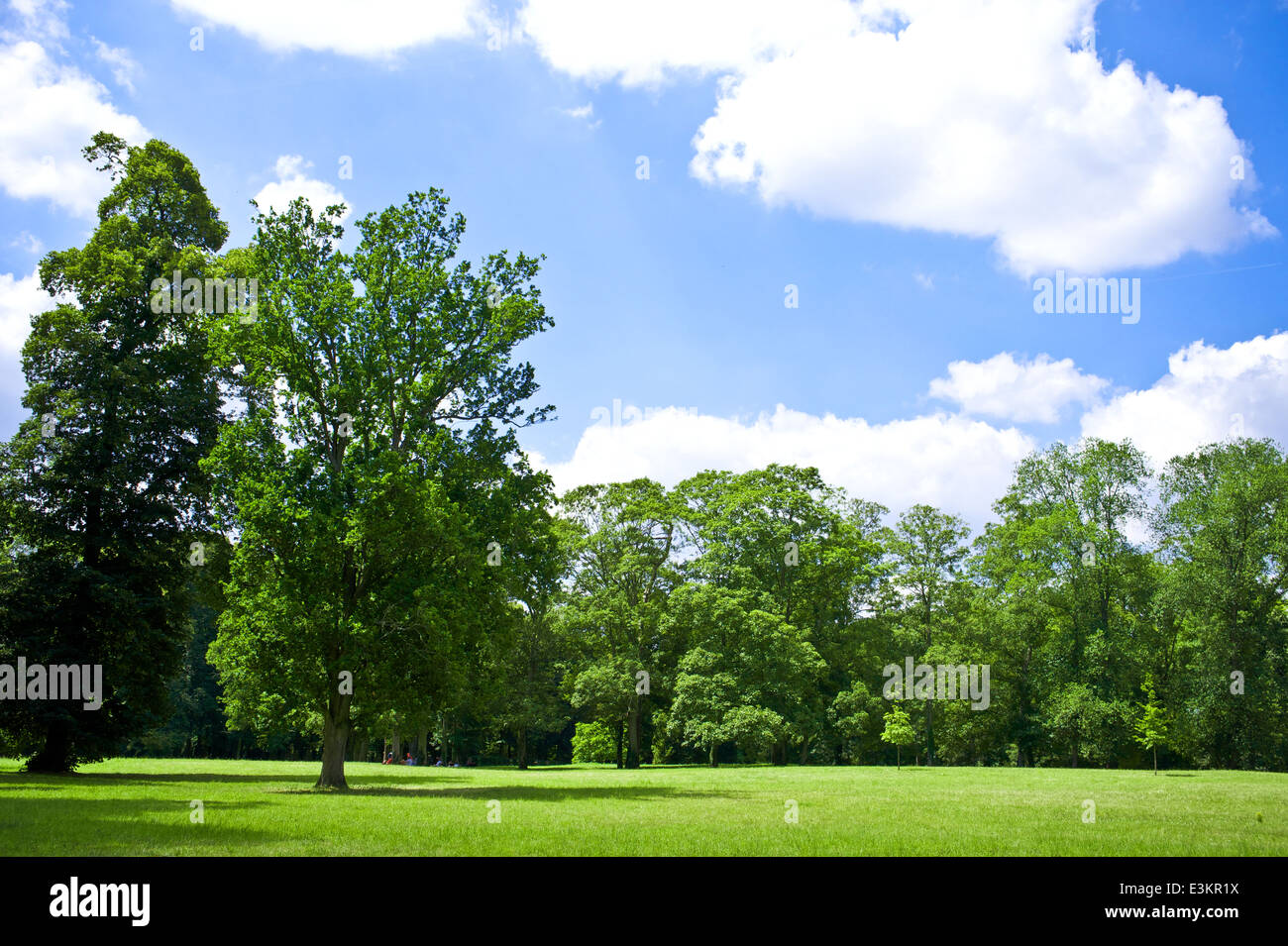 A peaceful park in the summer time Stock Photo - Alamy