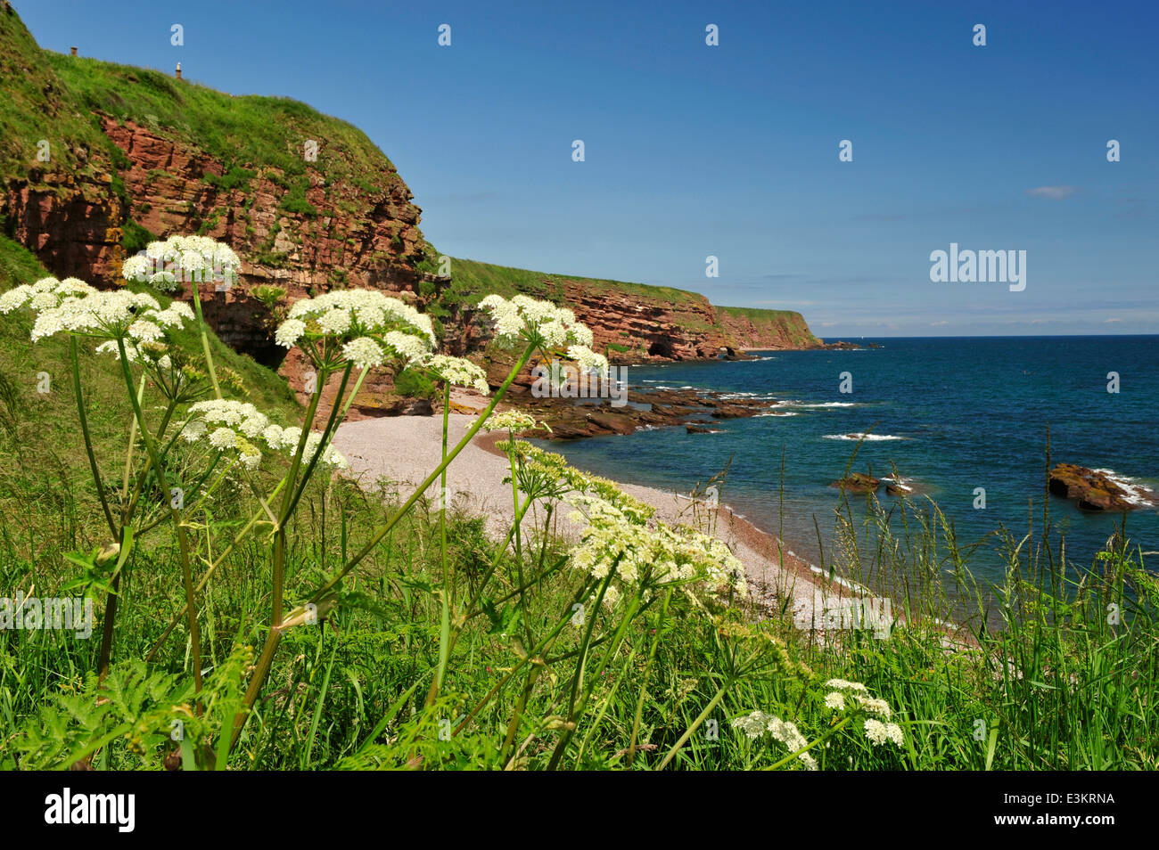 Auchmithie Bay, Angus, Scotland Stock Photo - Alamy
