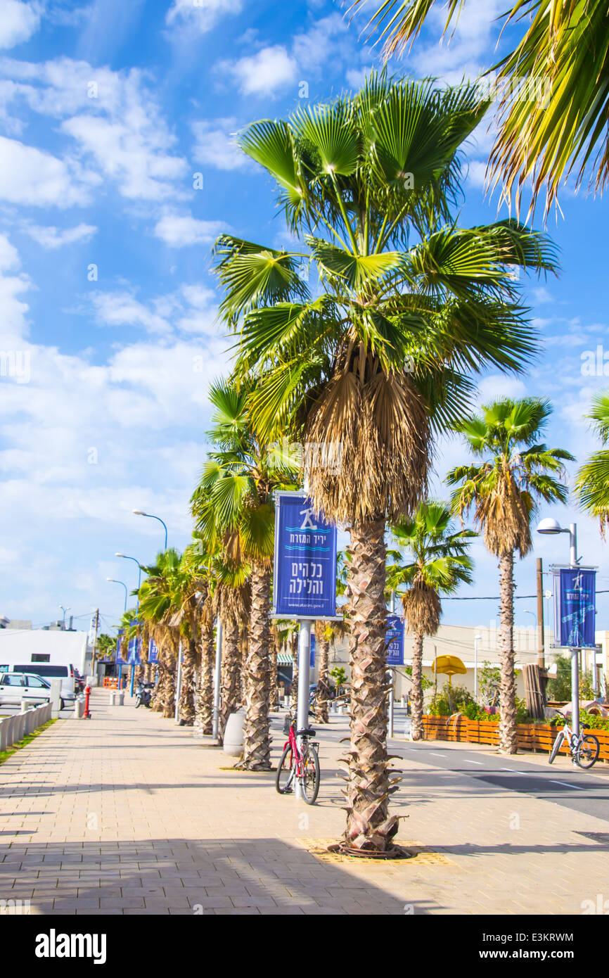 Palm relaxation hi-res stock photography and images - Alamy