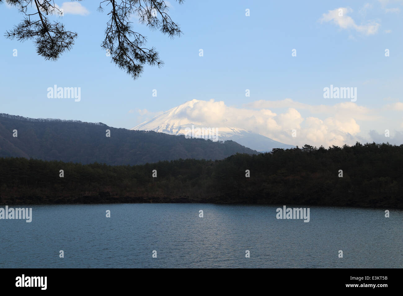 Mount Fuji, view from Lake Saiko, Japan Stock Photo - Alamy