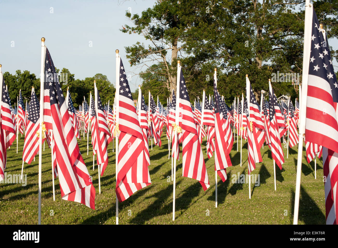 Rows of American Honor Flags Stock Photo - Alamy