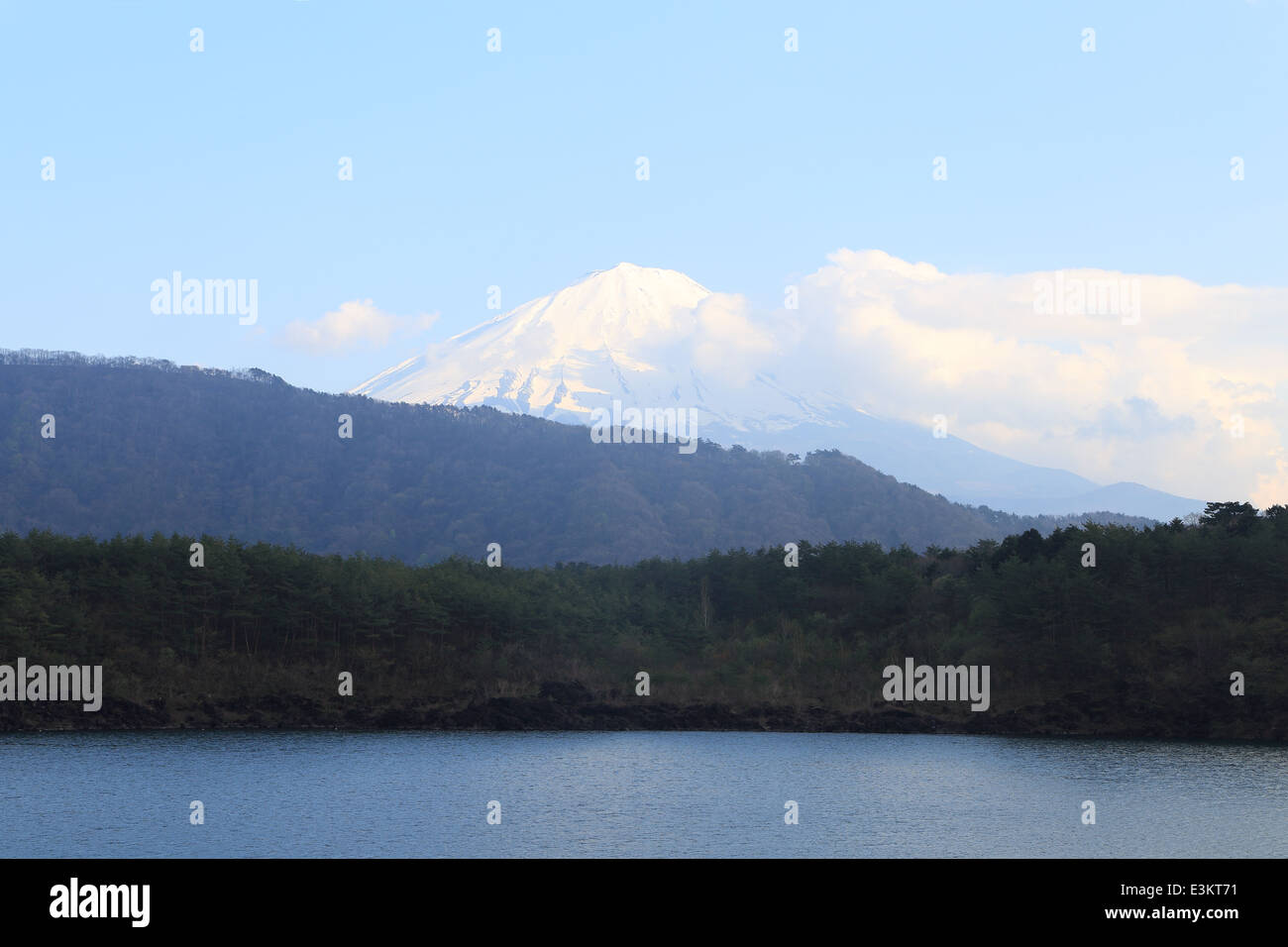 Mount Fuji, view from Lake Saiko, Japan Stock Photo - Alamy