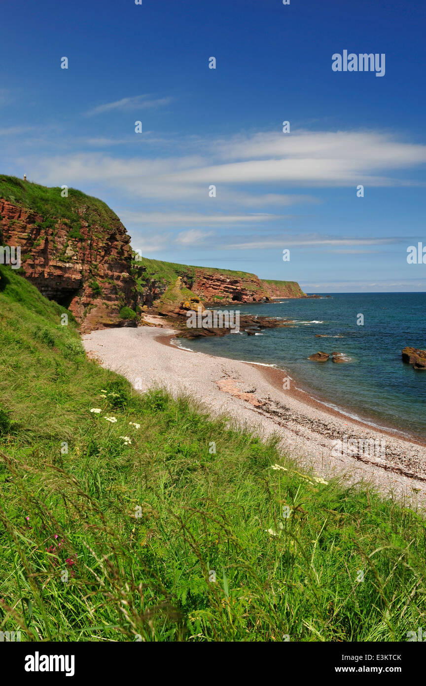 Auchmithie Bay, Angus, Scotland Stock Photo - Alamy