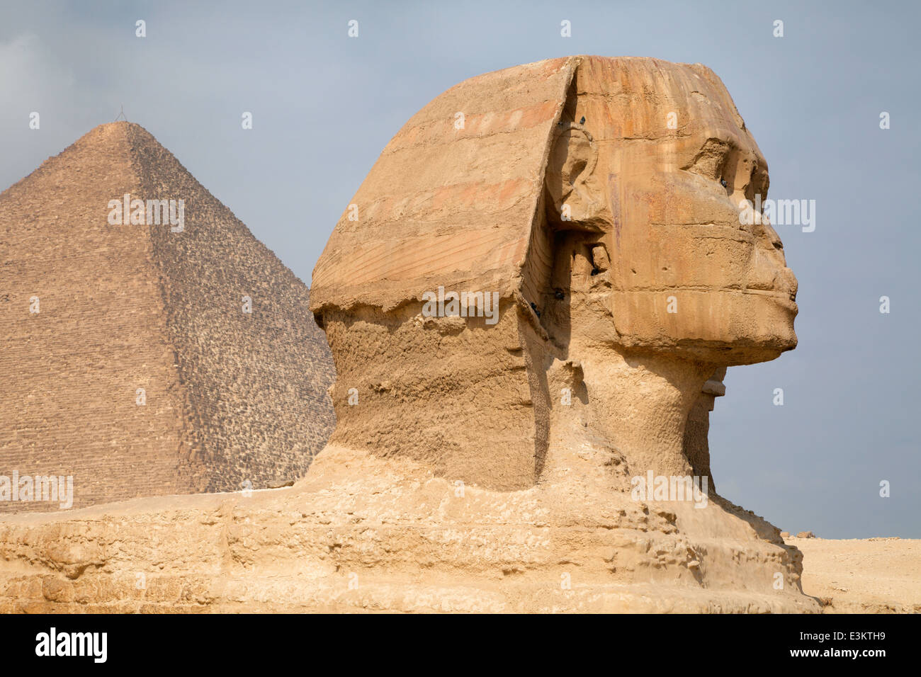 Closeup view of the Sphinx head, Cairo, Egypt Stock Photo - Alamy