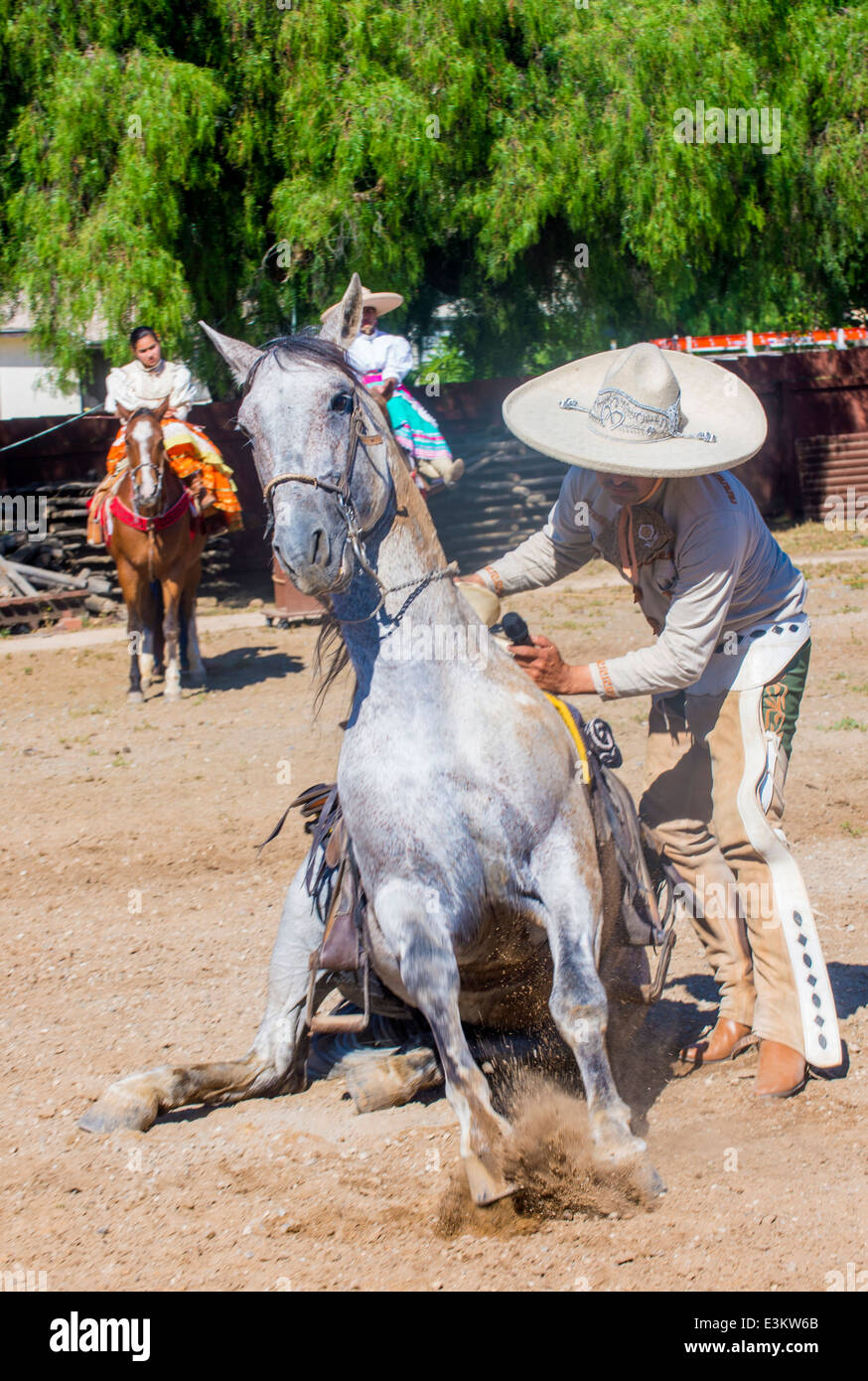 Charo hi-res stock photography and images - Alamy