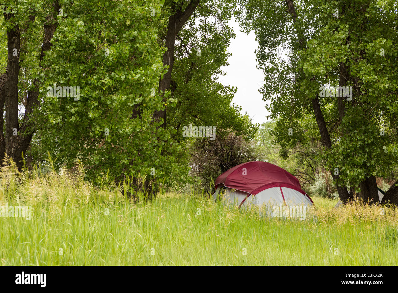 Tent camping at state park in Denver, Colorado Stock Photo - Alamy