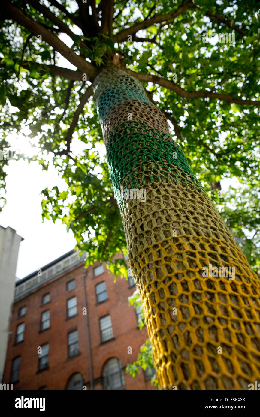 Yarn Bombed Tree, Liverpool, Merseyside Stock Photo - Alamy