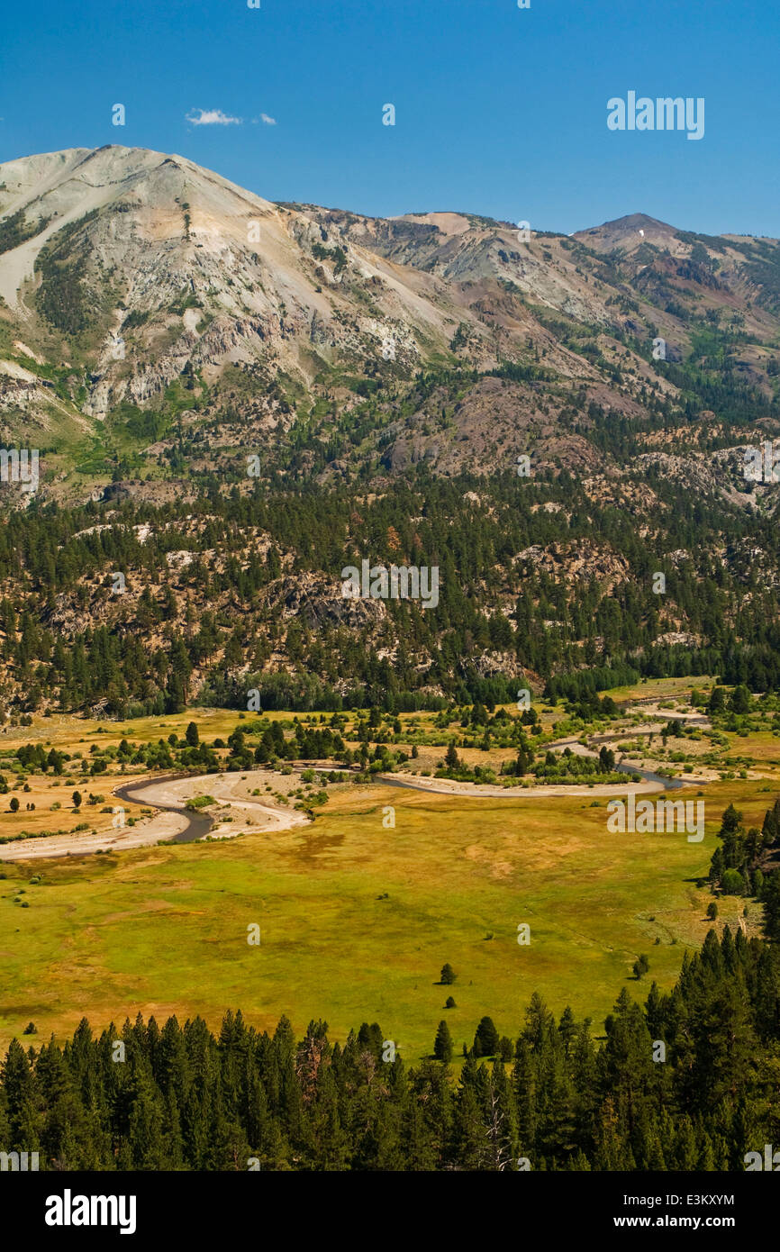 Toiyabe humboldt national forest hi-res stock photography and images ...