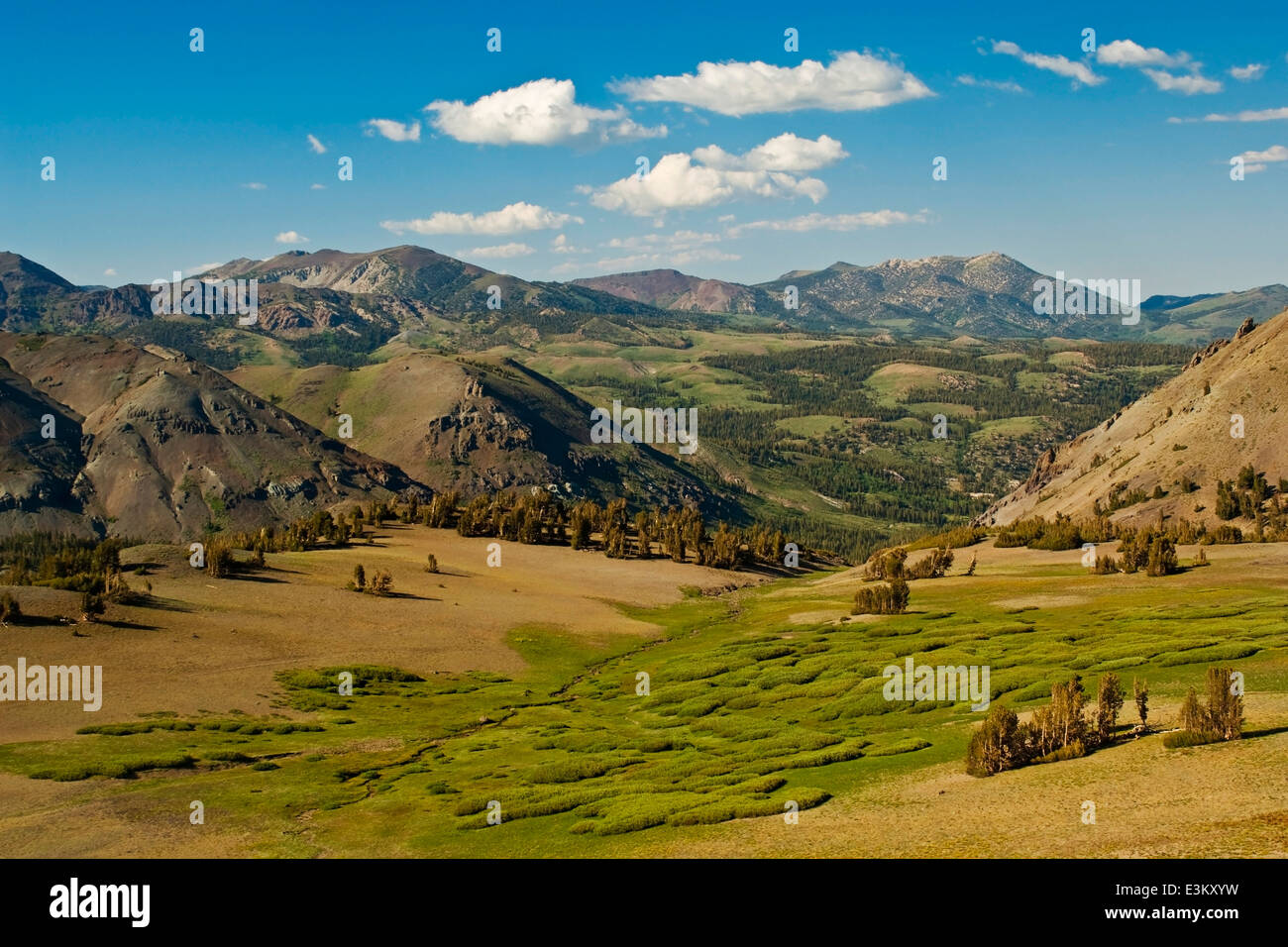 Slopes of the eastern Sierra mountains near Sonora Pass, Toiyabe ...