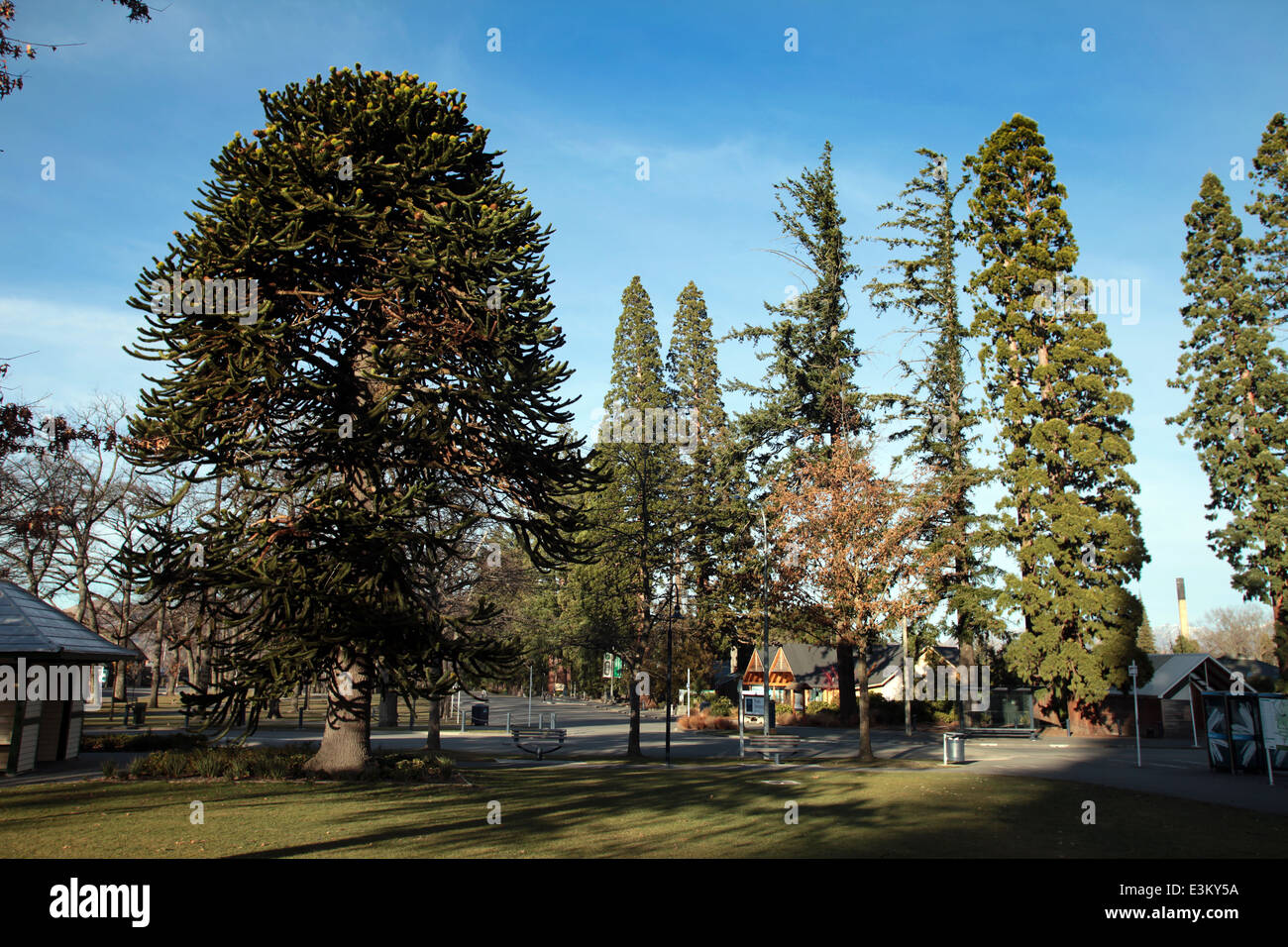 Hanmer springs thermal pools hi-res stock photography and images - Alamy