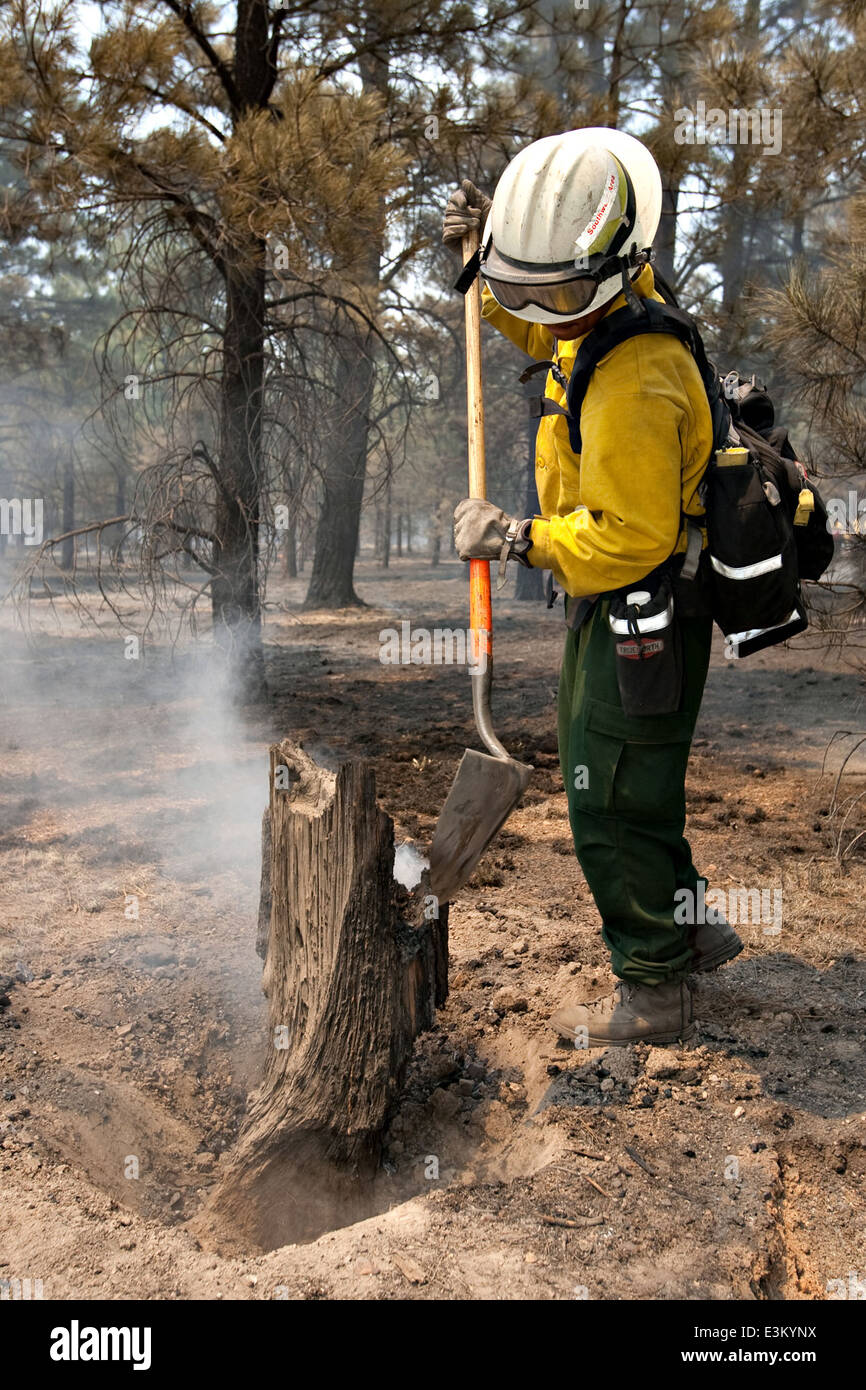 The Eagle Rock Fire, which occurred in 2010 in the Williams Ranger ...