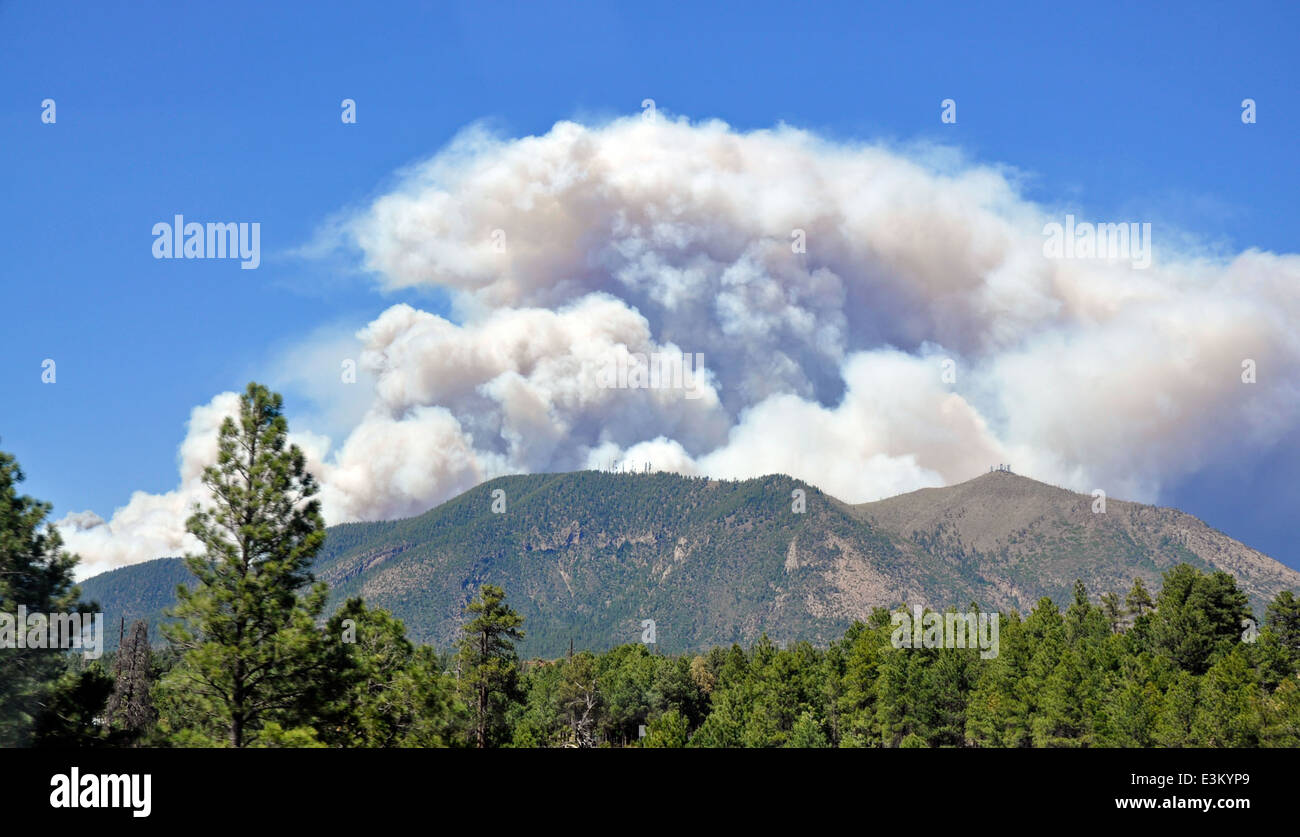 The Schultz Fire in the Coconino National Forest, Arizona, occurred in ...