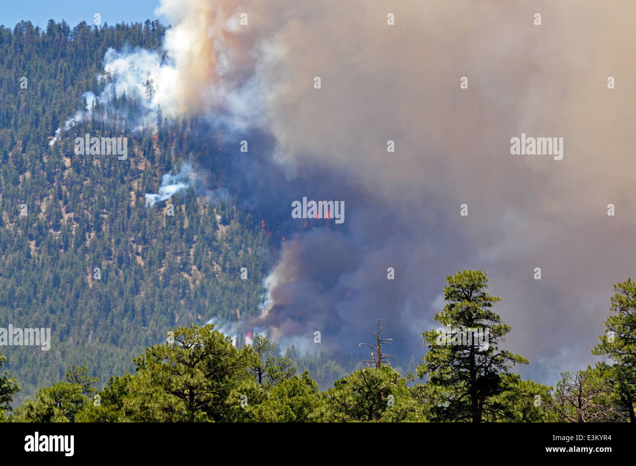 Schultzfire High Resolution Stock Photography and Images - Alamy