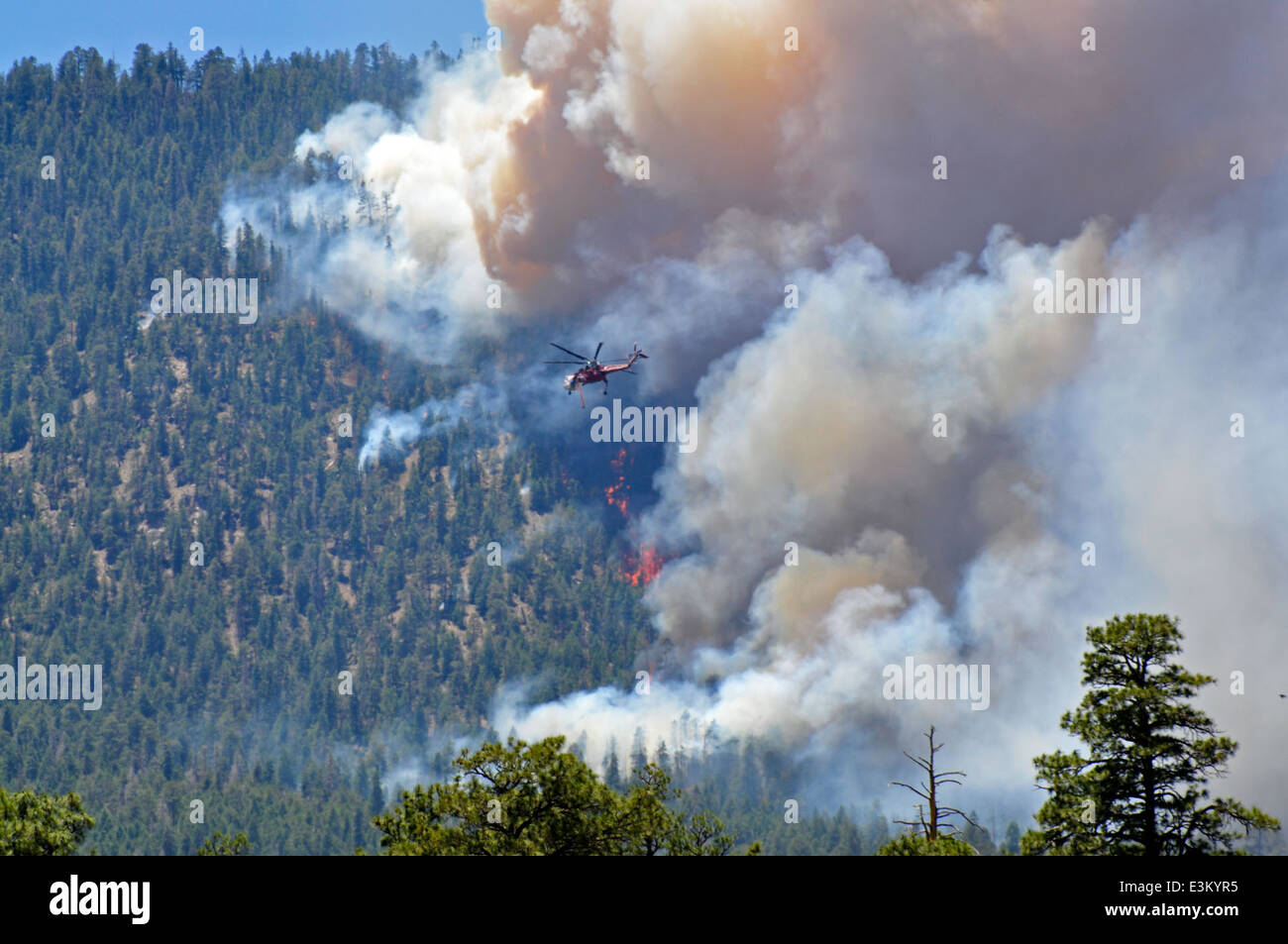 Schultzfire High Resolution Stock Photography and Images - Alamy