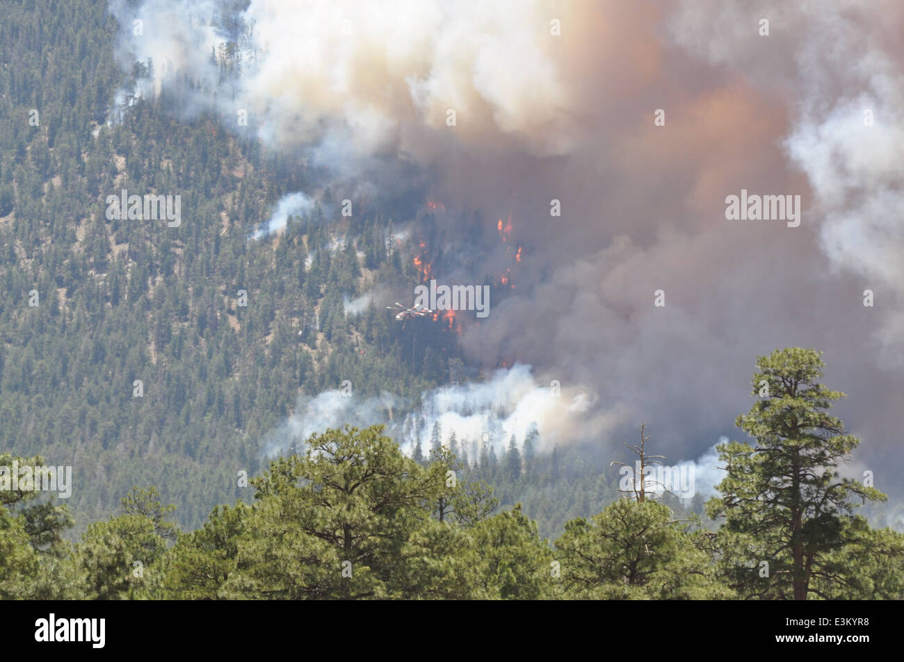 The Schultz Fire, which occurred on June 21, 2010, in Coconino National ...