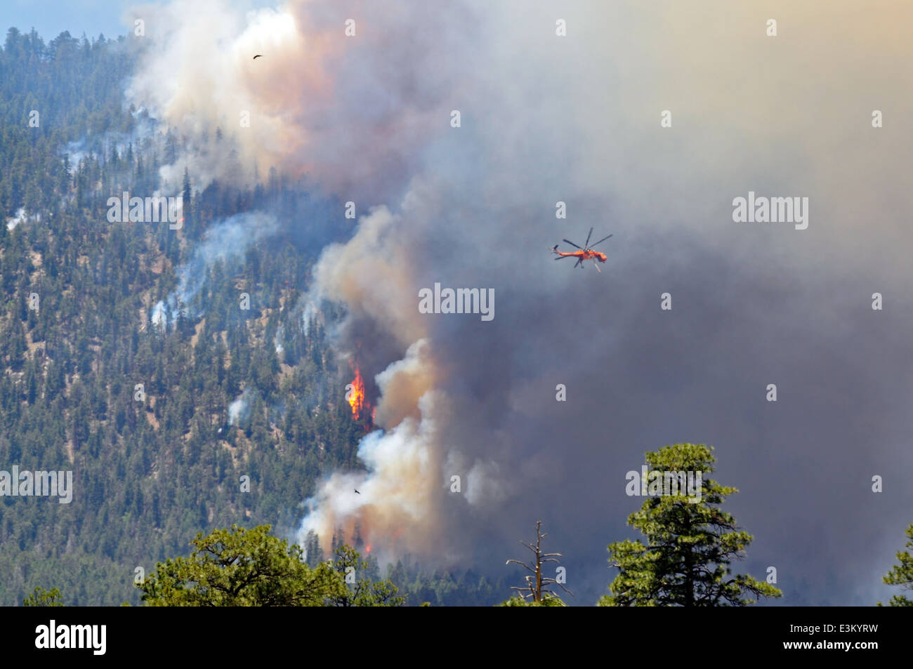 Schultzfire High Resolution Stock Photography and Images - Alamy