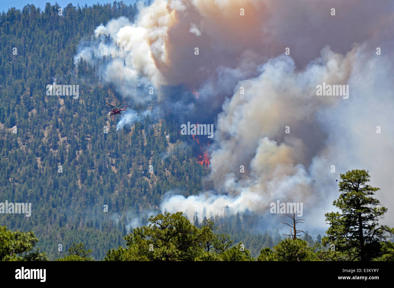 The Schultz Fire, which occurred on June 21, 2010, burned through the ...