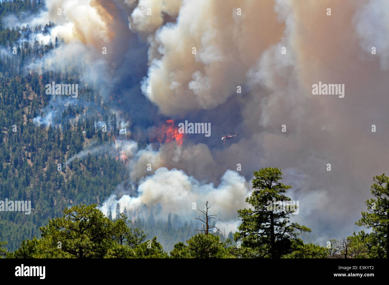 Schultz Fire, June 21, 2010 Stock Photo - Alamy