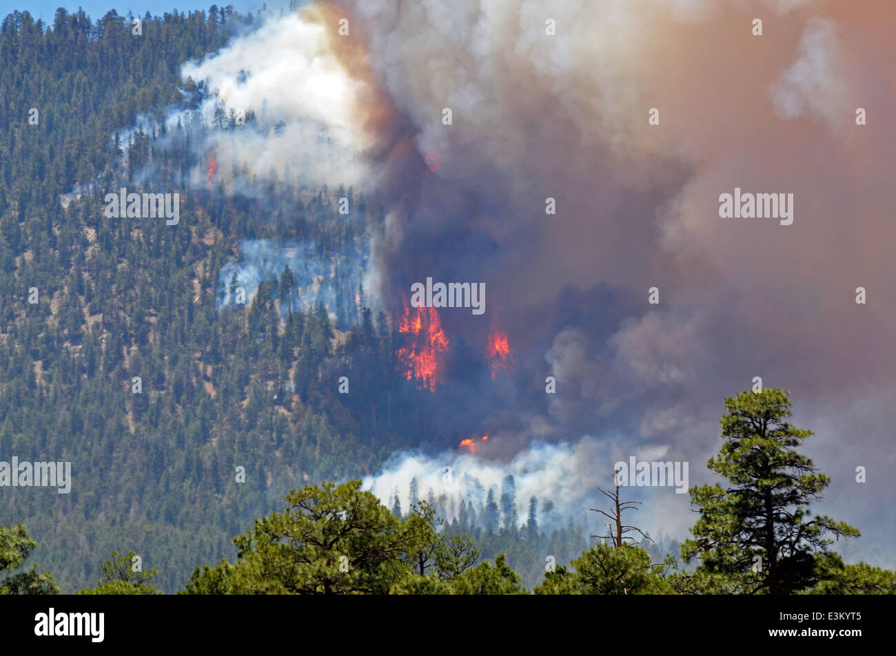 Schultzfire High Resolution Stock Photography and Images - Alamy