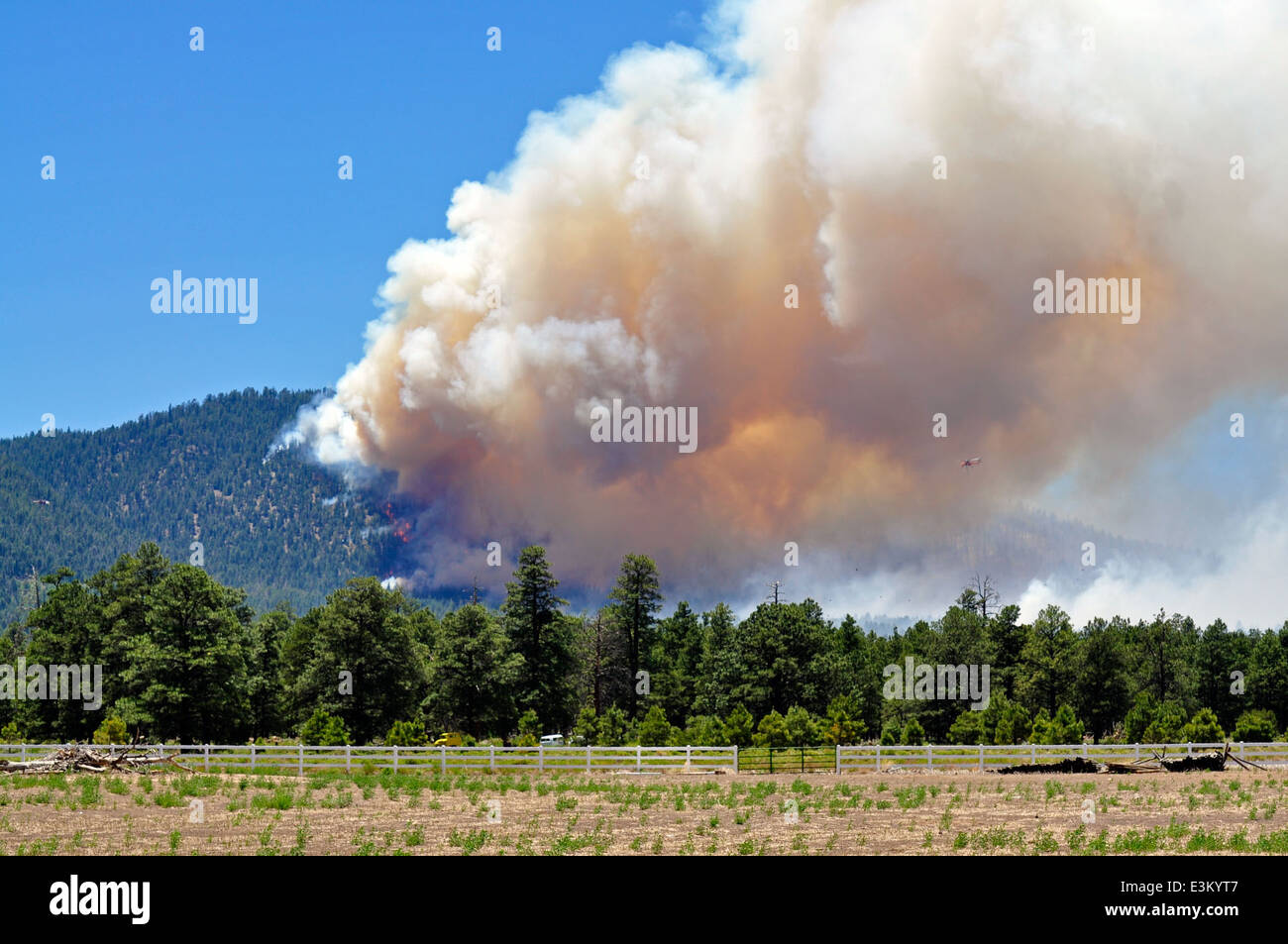Schultzfire hi-res stock photography and images - Alamy