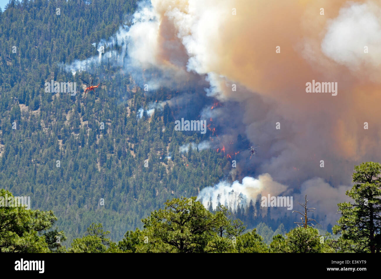 Schultz Fire, June 21, 2010 Stock Photo - Alamy