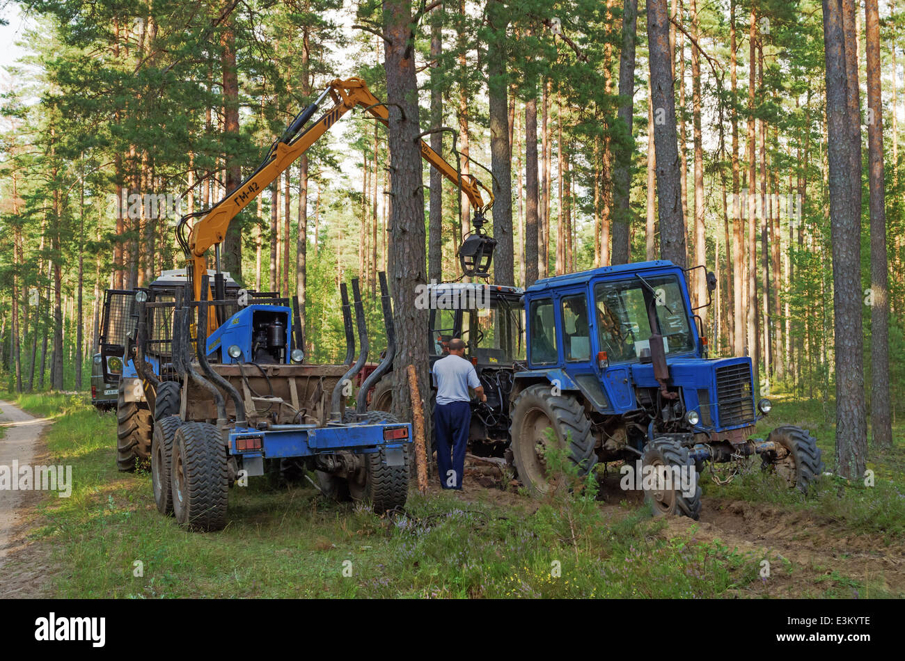 Tractor breakage in the wood. The tractor plowed a furrow dividing ...