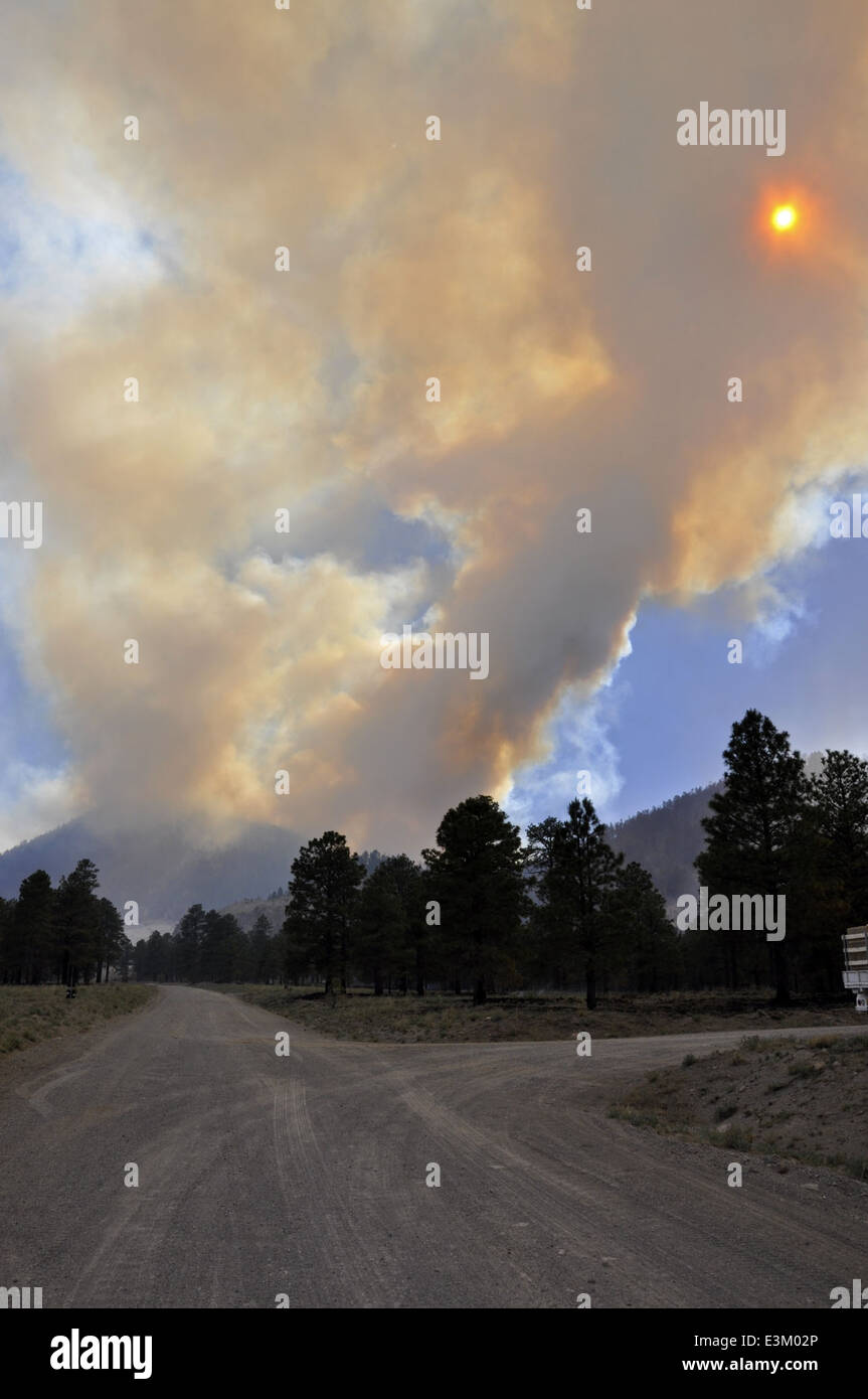 The Schultz Fire in the Coconino National Forest created a dense smoke ...