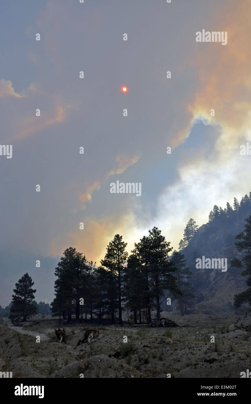 Schultzfire High Resolution Stock Photography and Images - Alamy