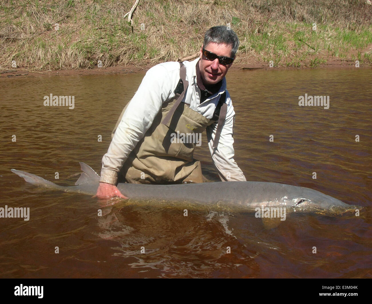 Henry Quinlan stands with a 74-pound adult Lake Sturgeon, part of ...