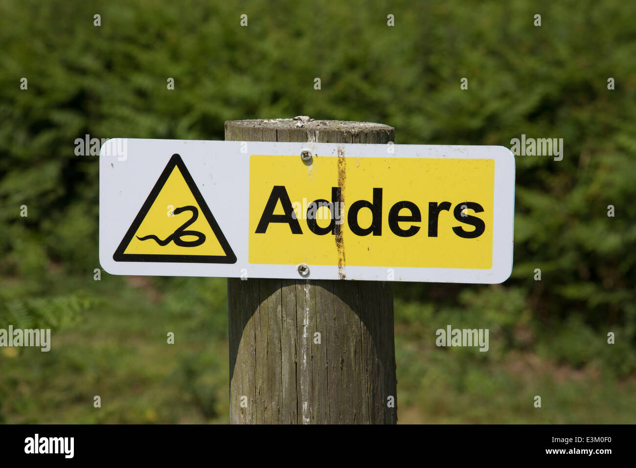 Snake warning sign hi-res stock photography and images - Alamy